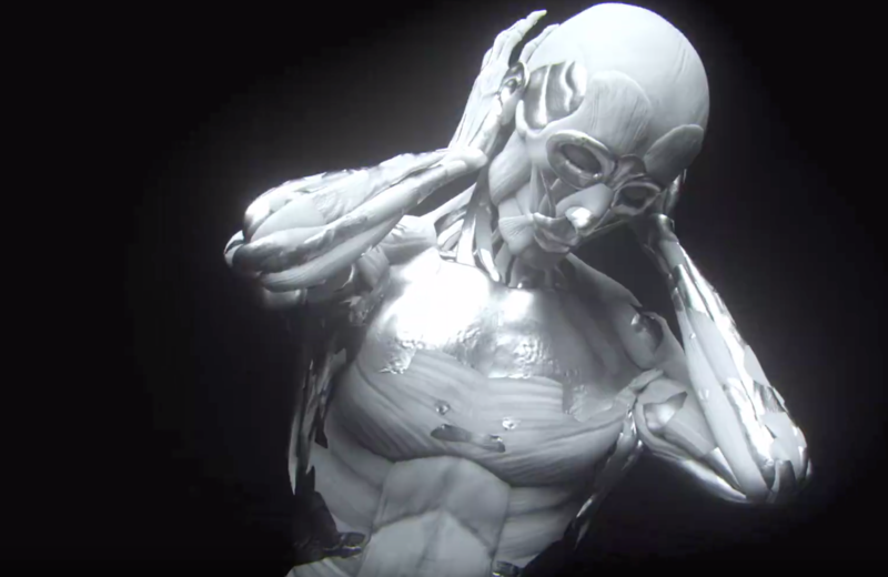 Im Video zu "The Mud" zeigen Code Orange, was ihre Musik so alles ...